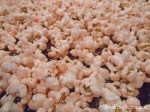 Candied Watermelon Popcorn | Roaming Rosie