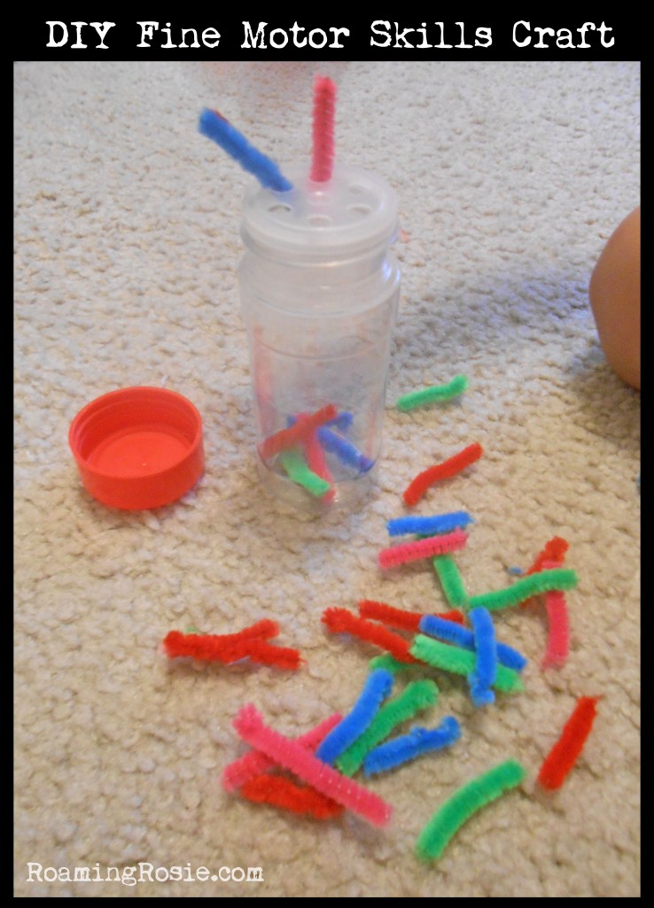 DIY Fine Motor Skills Craft for Toddlers with Pipe Cleaners | Roaming Rosie