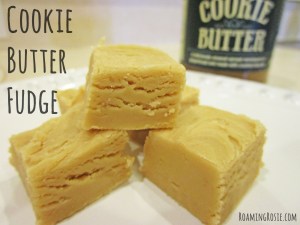 Cookie Butter Fudge | Roaming Rosie