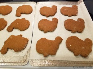 Turkey Gingerbread Cookies | Roaming Rosie